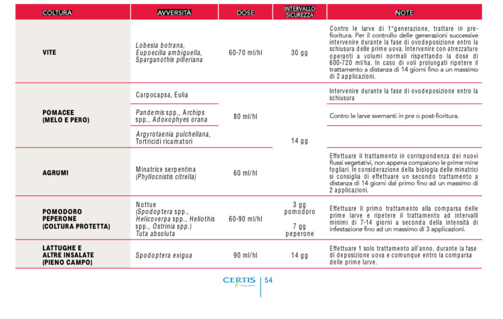 MIMIC 1 LT - DemetraShop